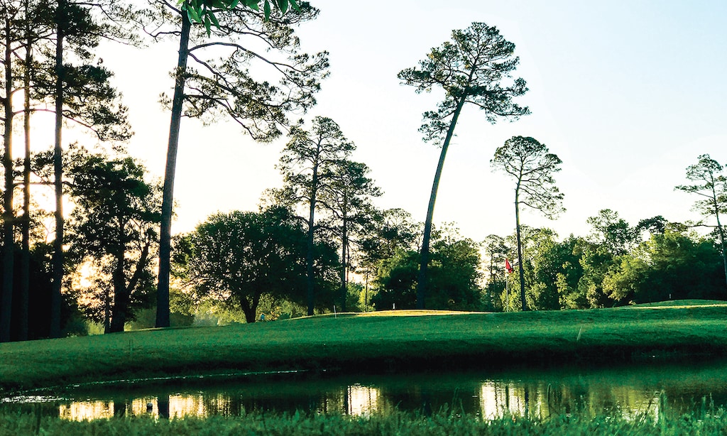 $5 off any purchase of $25 or more or $10 off any purchase of $50 or ...